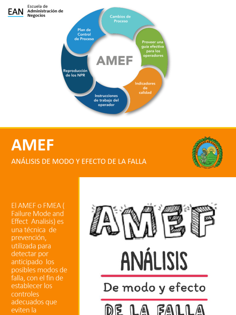 04 Amef Apoyo Pdf