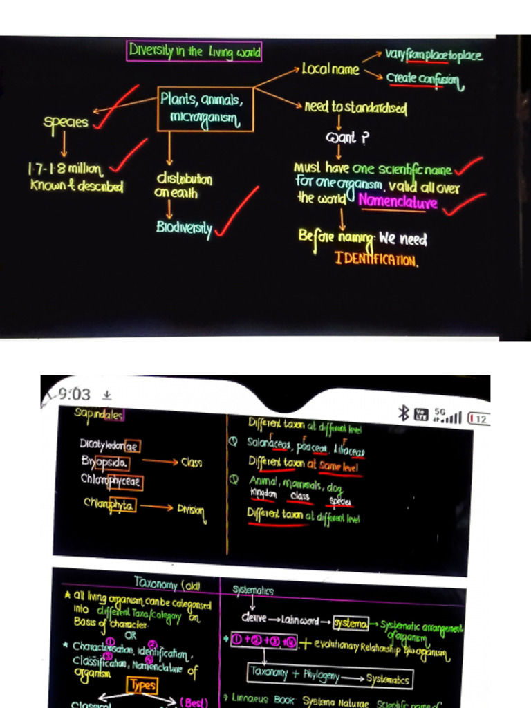 PDFReader 20251102 0739 | PDF