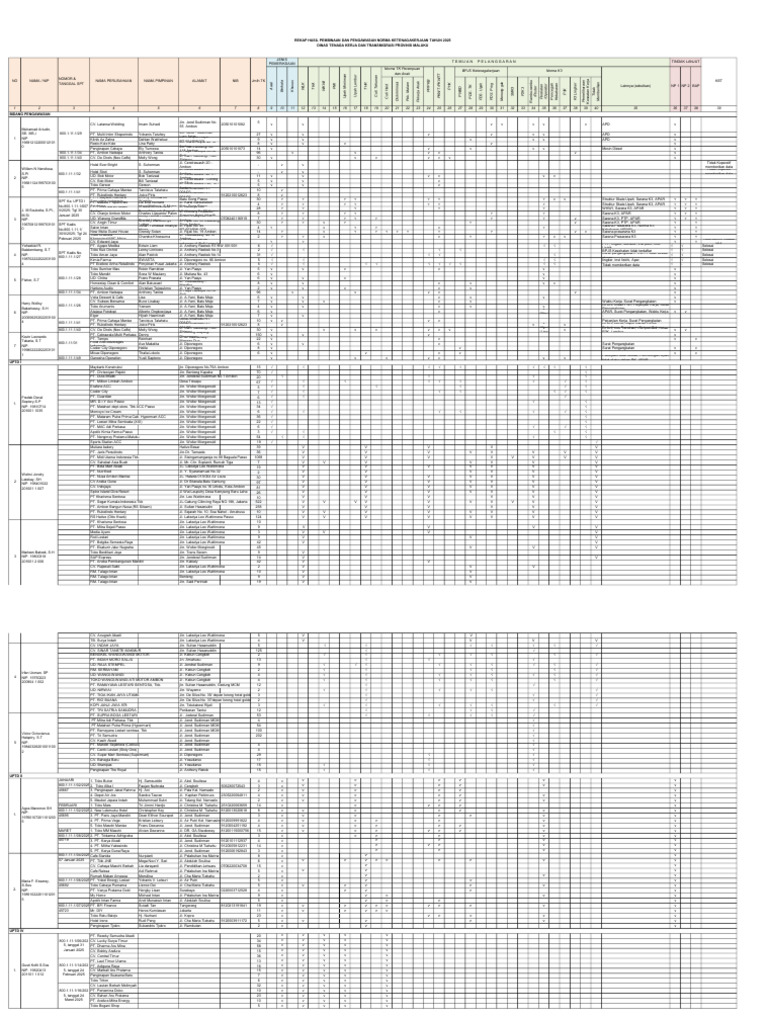 Data Pengawasan Ketenagakerjaan | PDF
