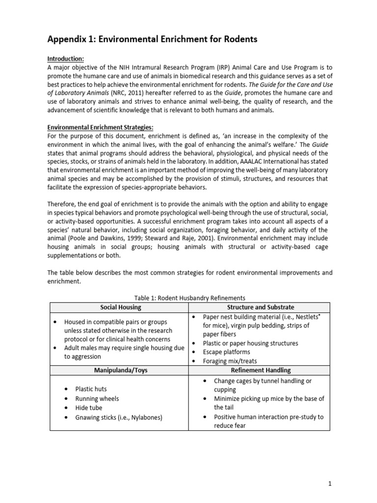 Rodent Environmental Enrichment Guide | PDF | Biology | Zoology