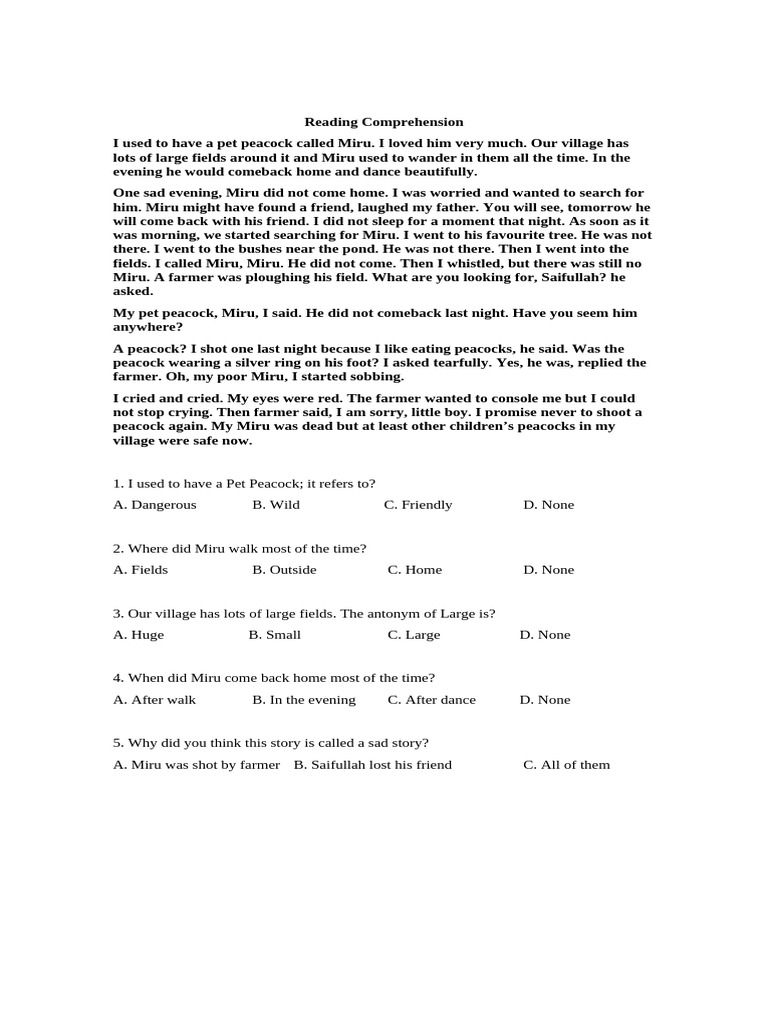 Reading Comprehension Class 5 | PDF