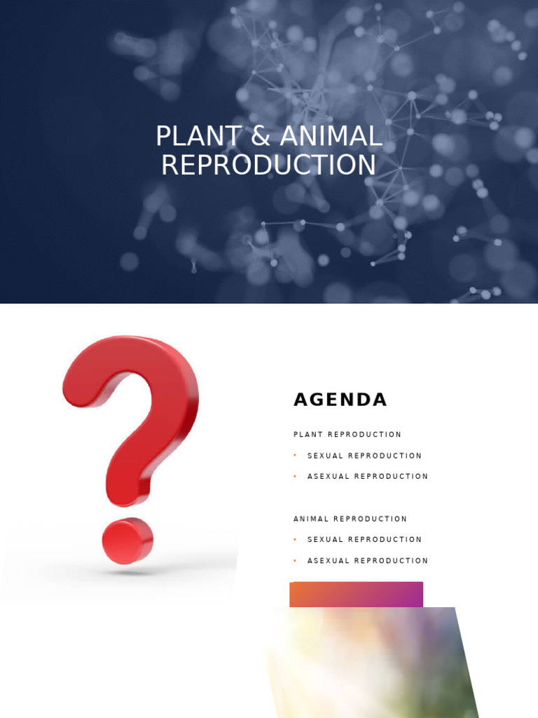 Plant Animal Reproduction | PDF | Sexual Reproduction | Fertilisation