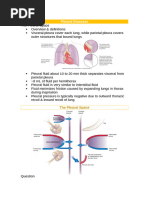 ACL-RSI Score Summary and Calculator | PDF | Knee | Limbs (Anatomy)