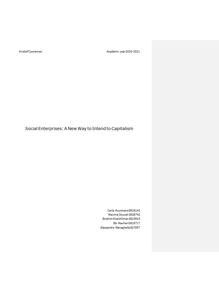Project Paper - B3 - Feedback | PDF | Social Enterprise | Taxes