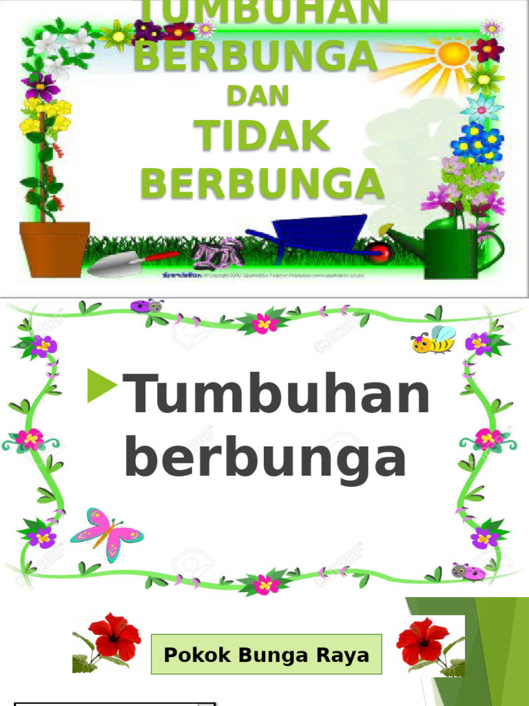Tumbuhan Berbunga Tidak Berbunga | PDF