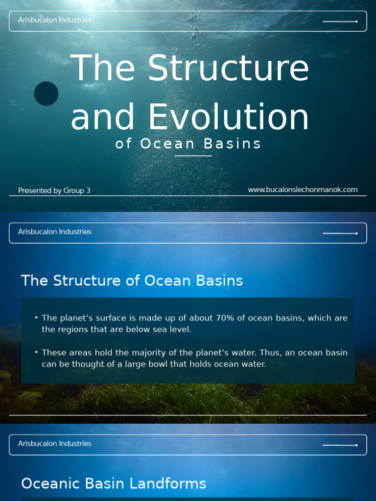 The Structure and Evolution of Ocean Basins | PDF | Plate Tectonics ...