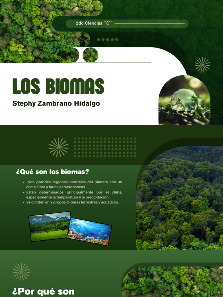 Importancia y Tipos de Biomas | PDF | Geografía Física | Entorno natural