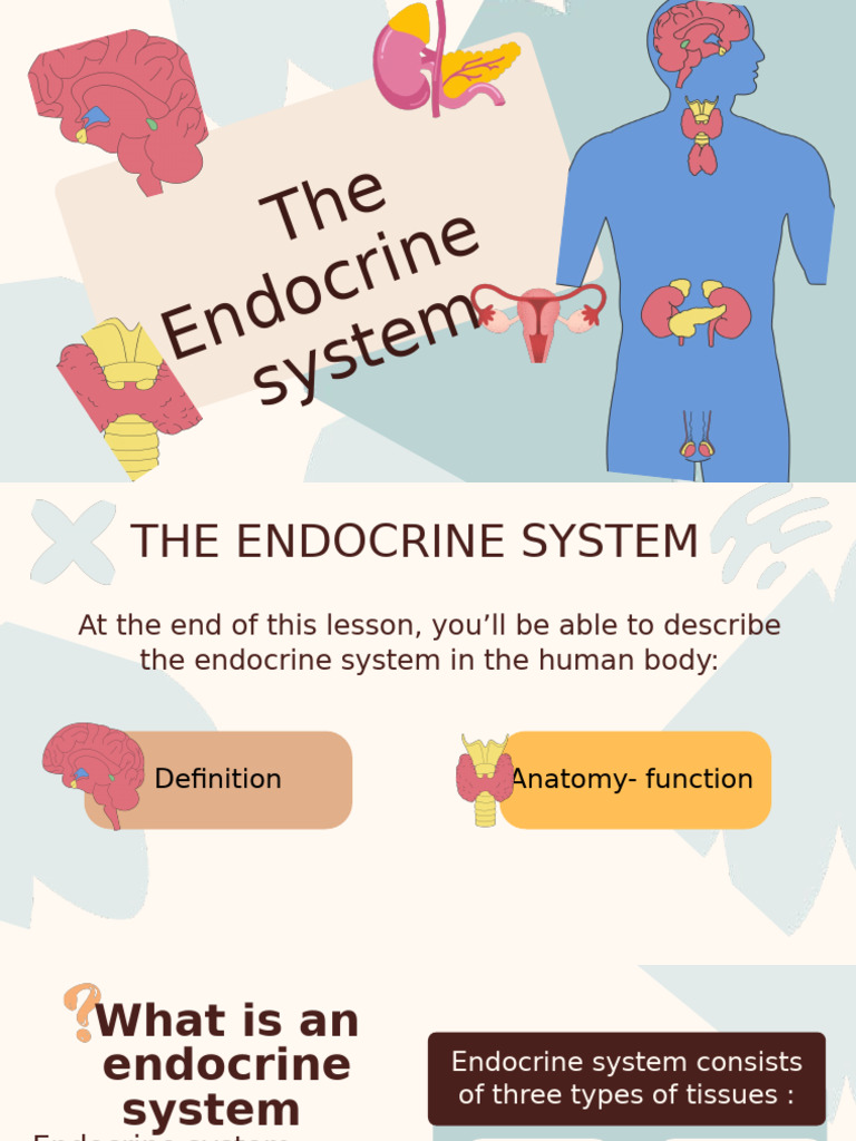 The Role of Hormones in The Human Body Education Presentation in Beige ...