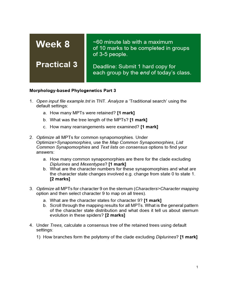 Practical 3 Morphology-based Phylogenetics Part 3 20251020 | PDF | Phylogenetics | Taxonomy ...