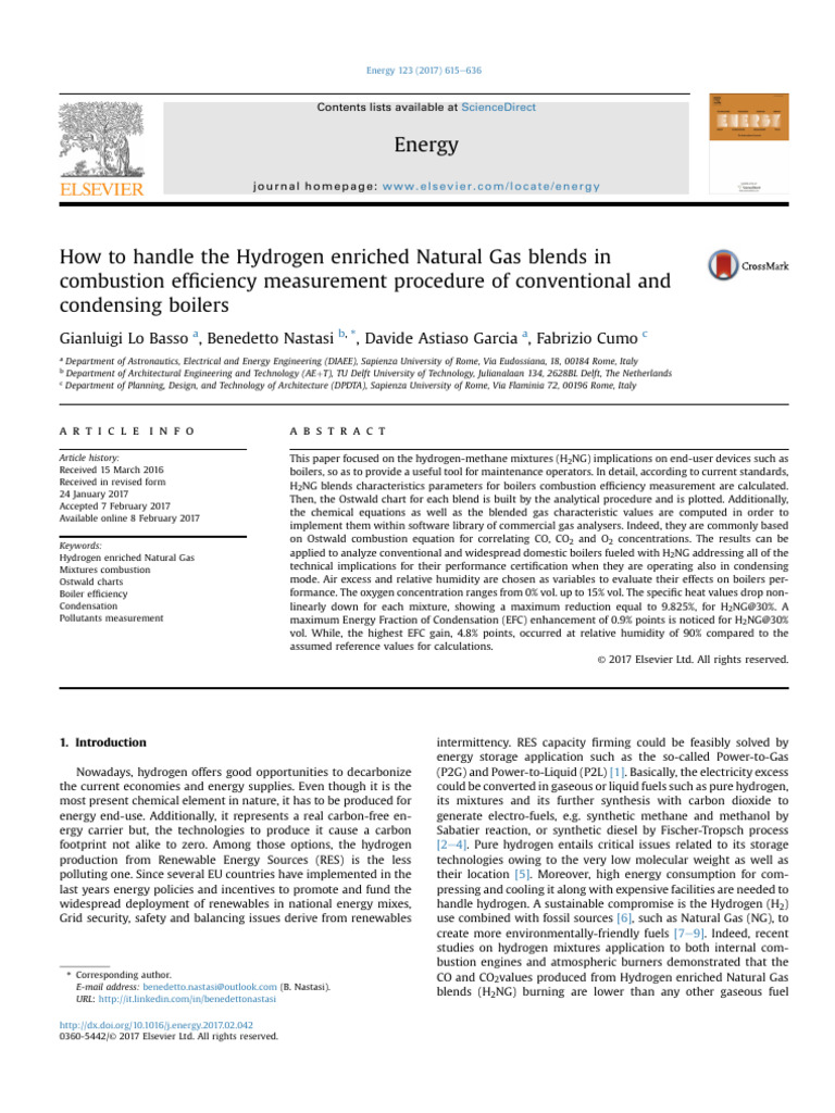 How to Handle the Hydrogen Enriched Natural Gas Blends in Combustion ...