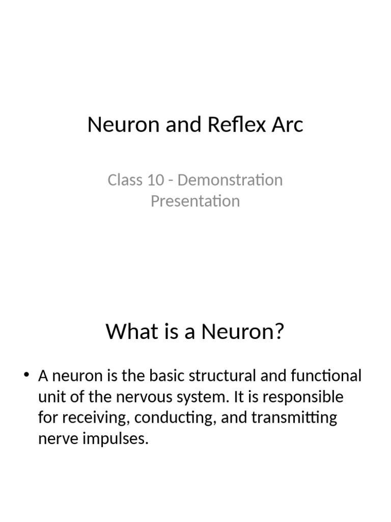 Neuron Reflex Arc Presentation | PDF