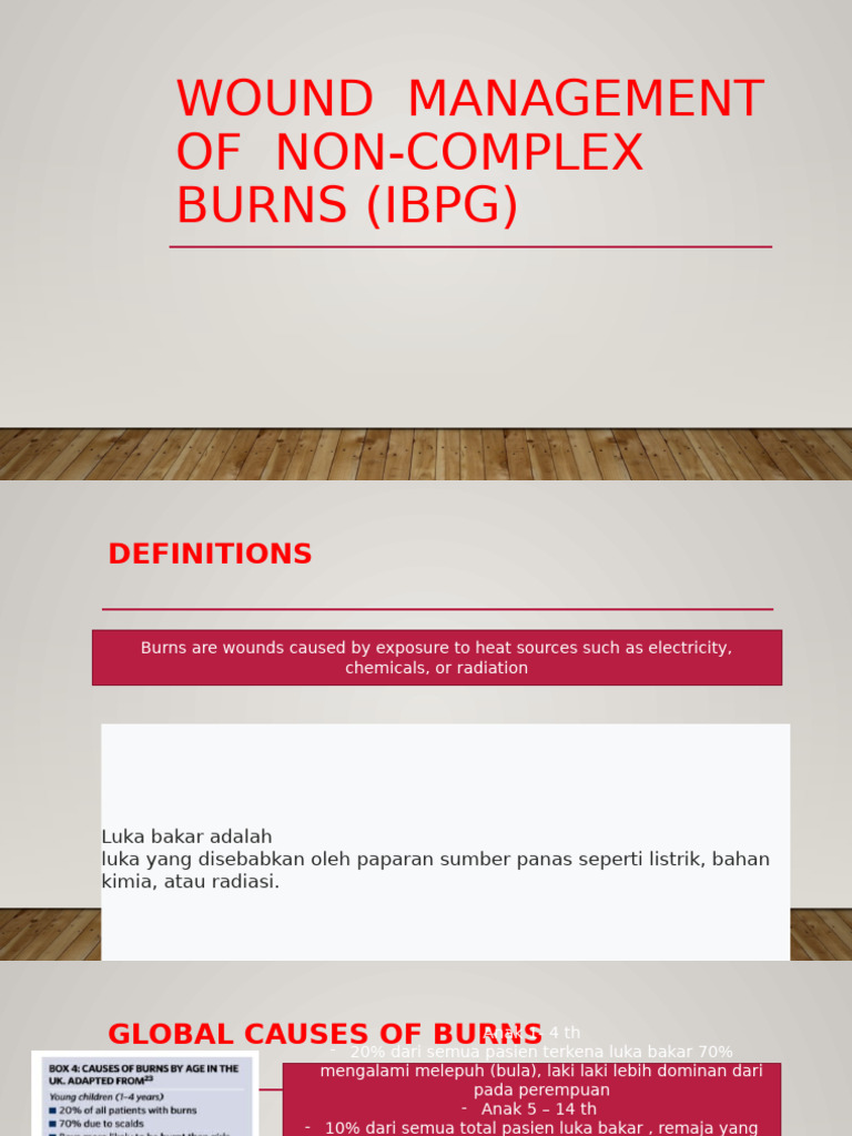 Wound Management of Non-complex Burns (Ibpg) (Indo) | PDF