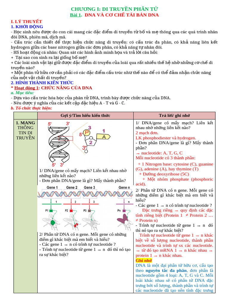 Bài 1- Dna Và Cơ Chế Tái Bản Dna | PDF