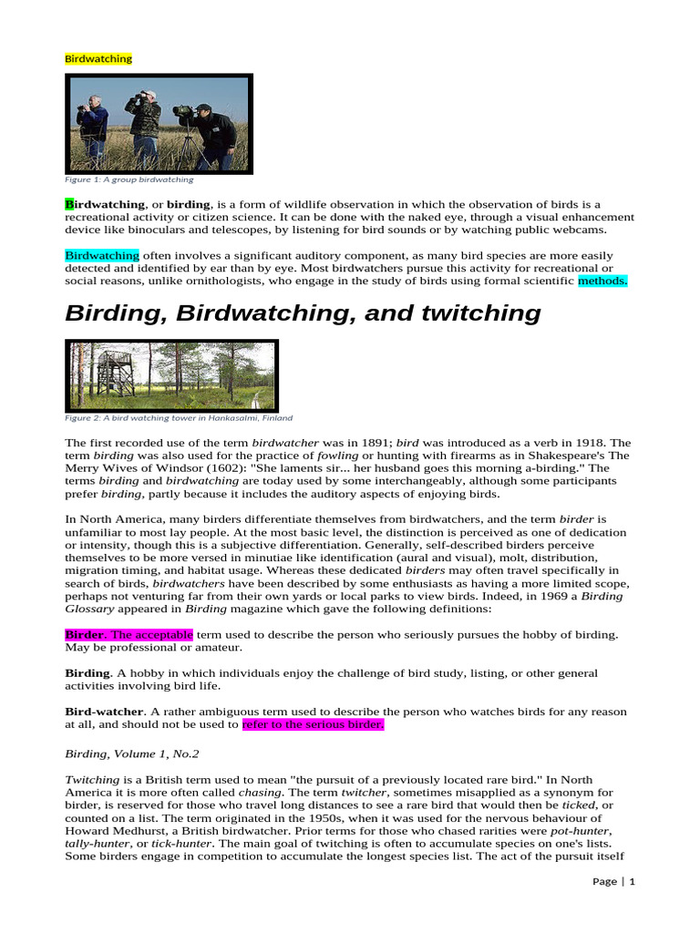 Birdwatching CAT answer sheet for past paper | PDF | Birdwatching ...