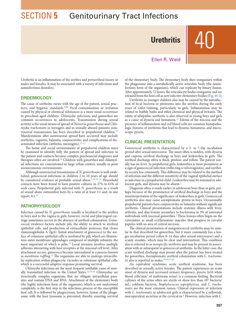 5 - Genitourinary Tract Infections Feigin 9th 2024 | PDF | Human ...