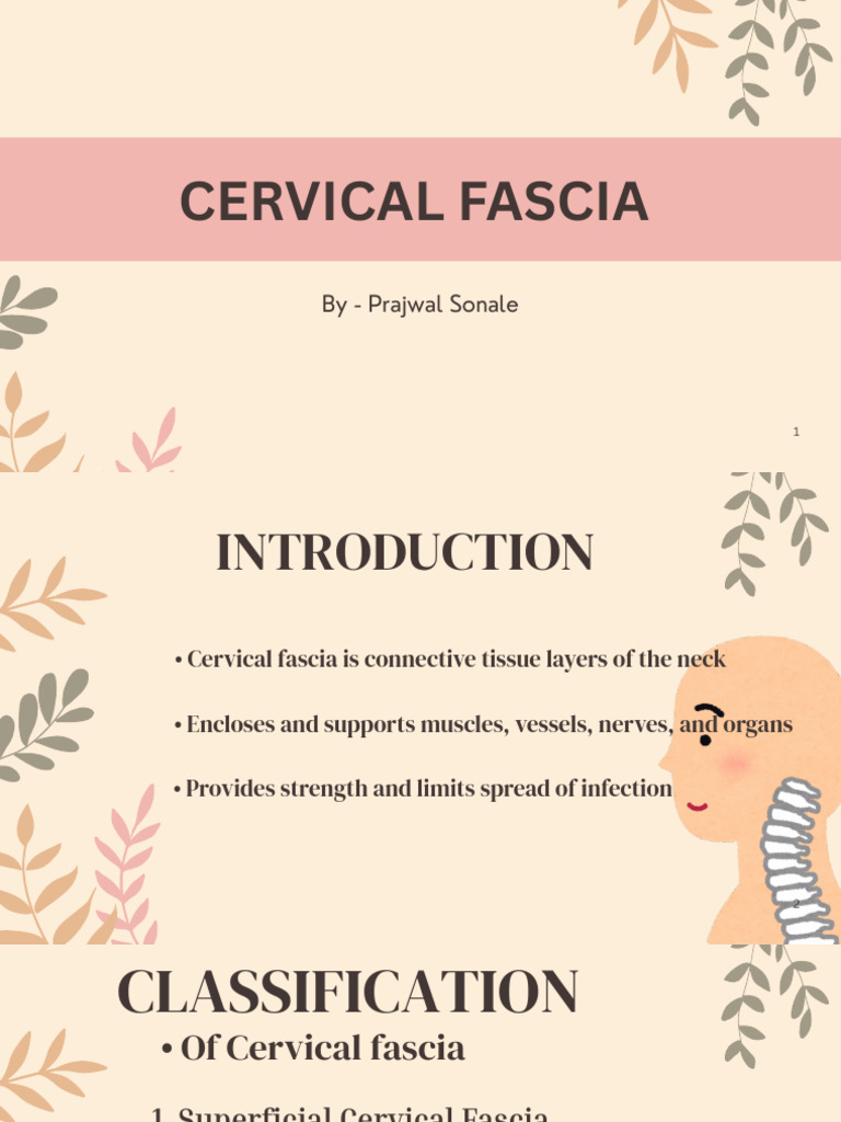 Understanding Cervical Fascia Layers | PDF