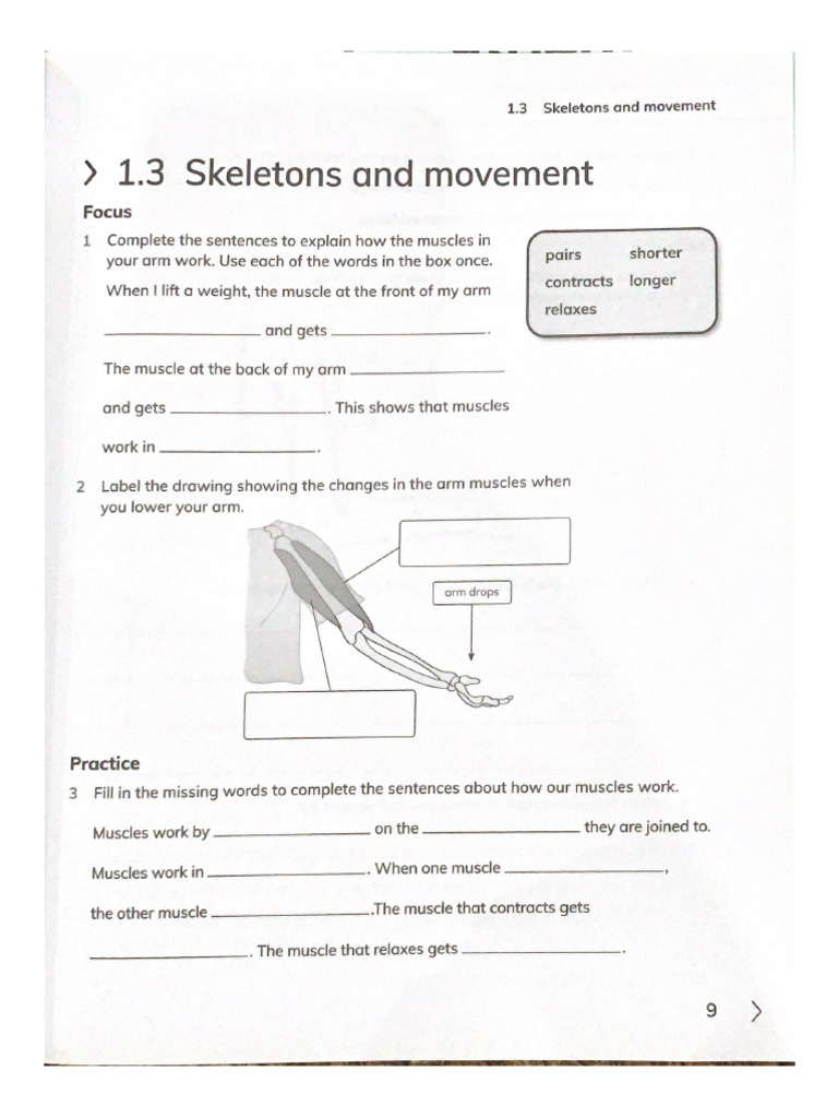 1.3 Skeletons and Movement | PDF
