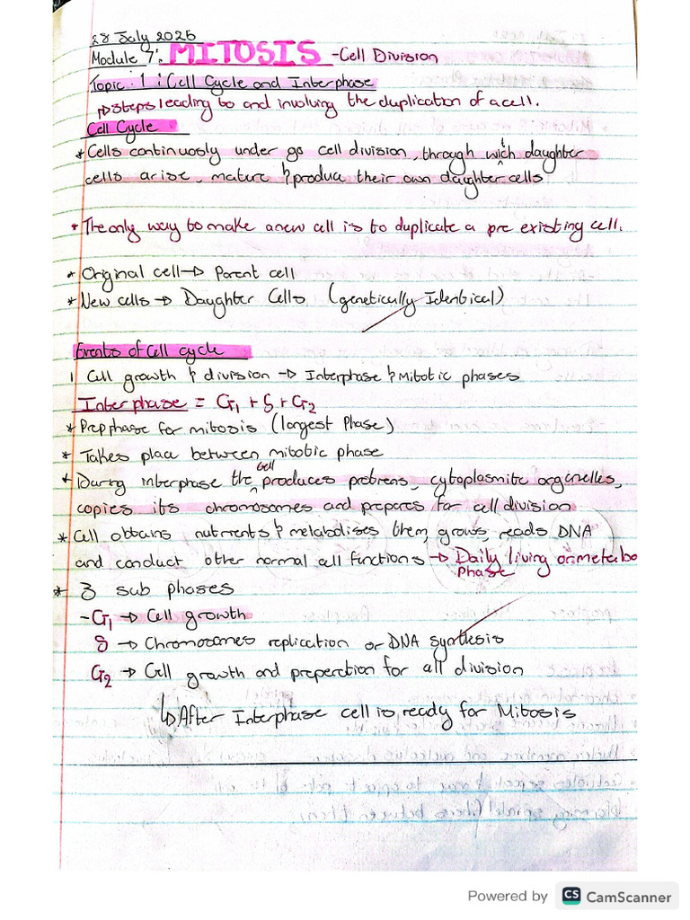 Mitosis Grade 10 | PDF