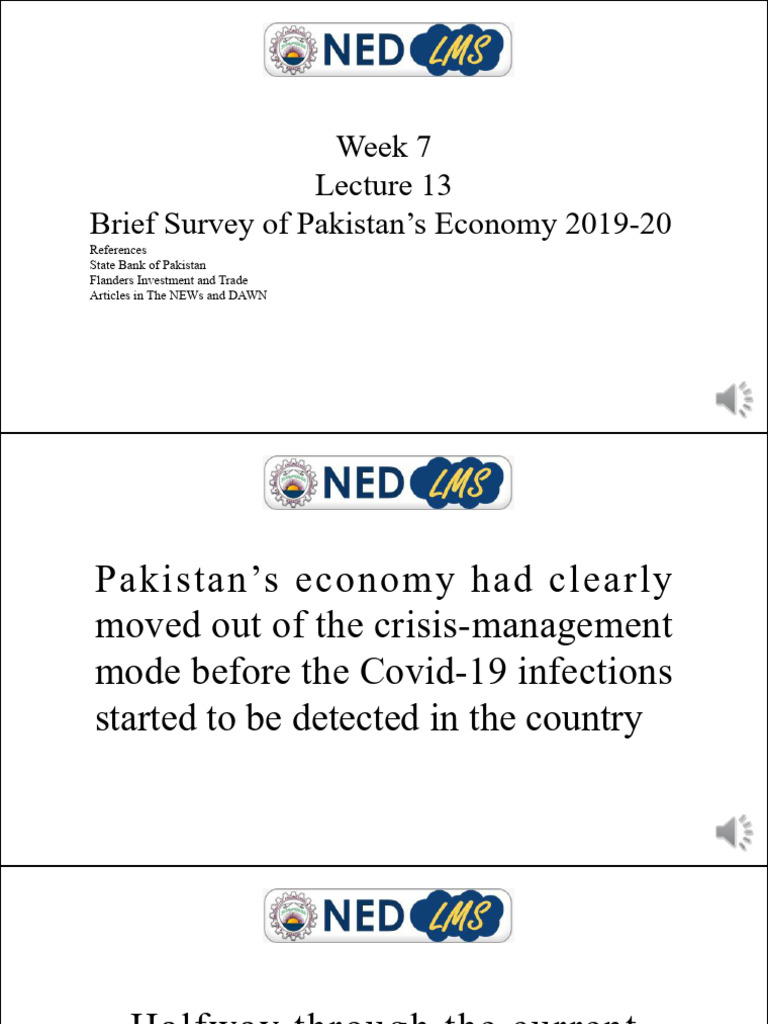 Brief Survey of Pakistan's Economy 2019-2020 | PDF | International ...