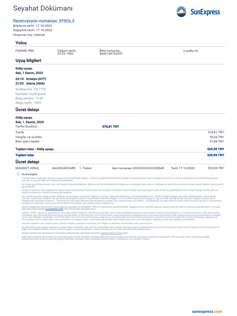 E Ticket | PDF