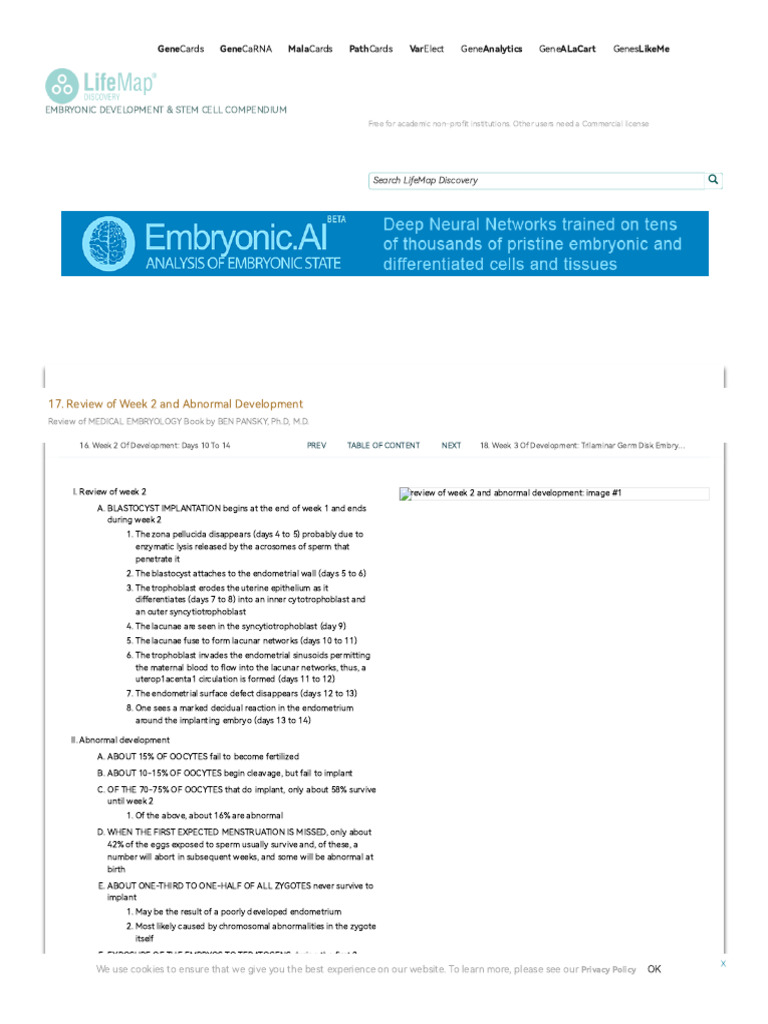 Week 2 Embryonic Development Overview | PDF | Biological Processes ...