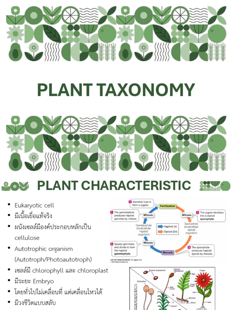 CH3-5 Plant Taxonomy | PDF