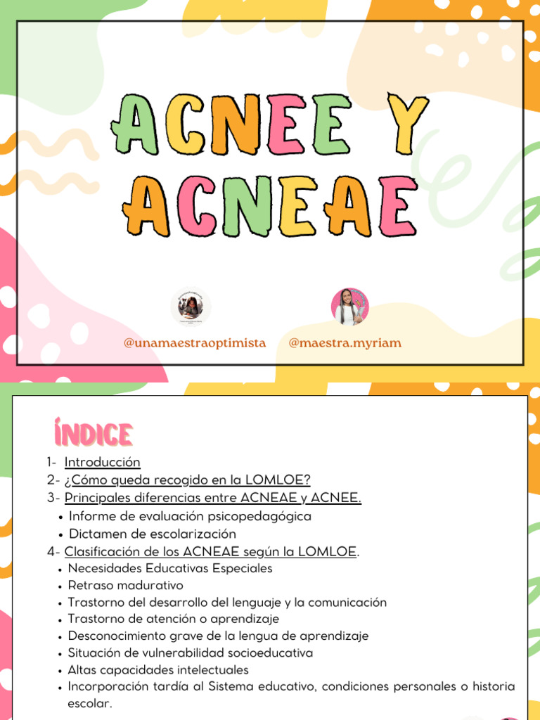 ACNEE y ACNEAE: Guía Educativa LOMLOE | PDF | Evaluación | Plan de estudios