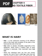 Hair Evidence in Forensic Investigations | PDF | Hair | Crime Scene