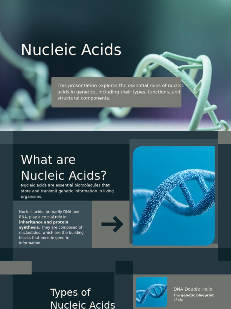 Nucleic Acids: Types and Functions | PDF