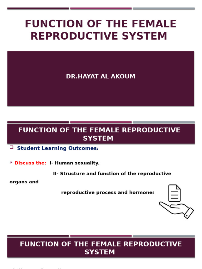 2 - Function of The Female Reproductive System | PDF | Menstrual Cycle ...