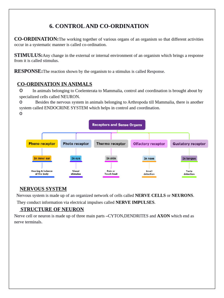 Control and Coordination in Organisms | PDF | Neuron | Nerve