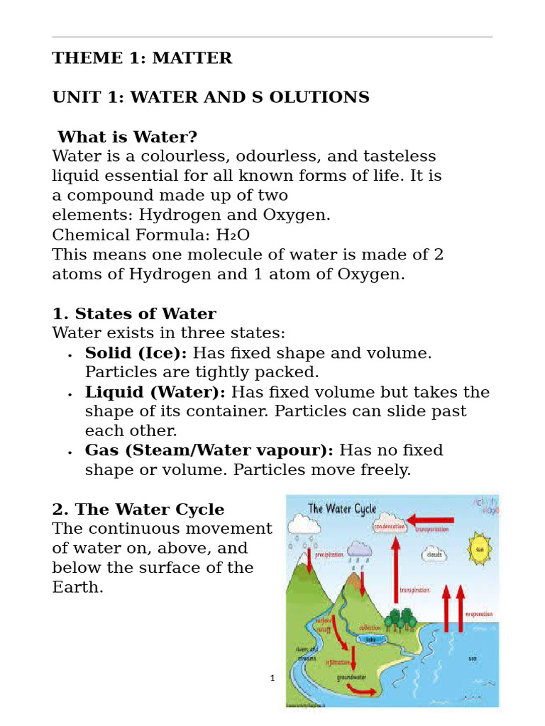 Water, Chemical Reactions, and Life Processes | PDF | Digestion ...
