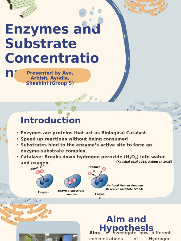 Group 5 - How Substrate Concentration Effect On Enzyme | PDF ...