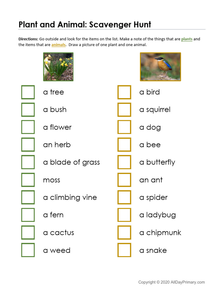 Plant and Animal Scavenger Hunt-Words | PDF