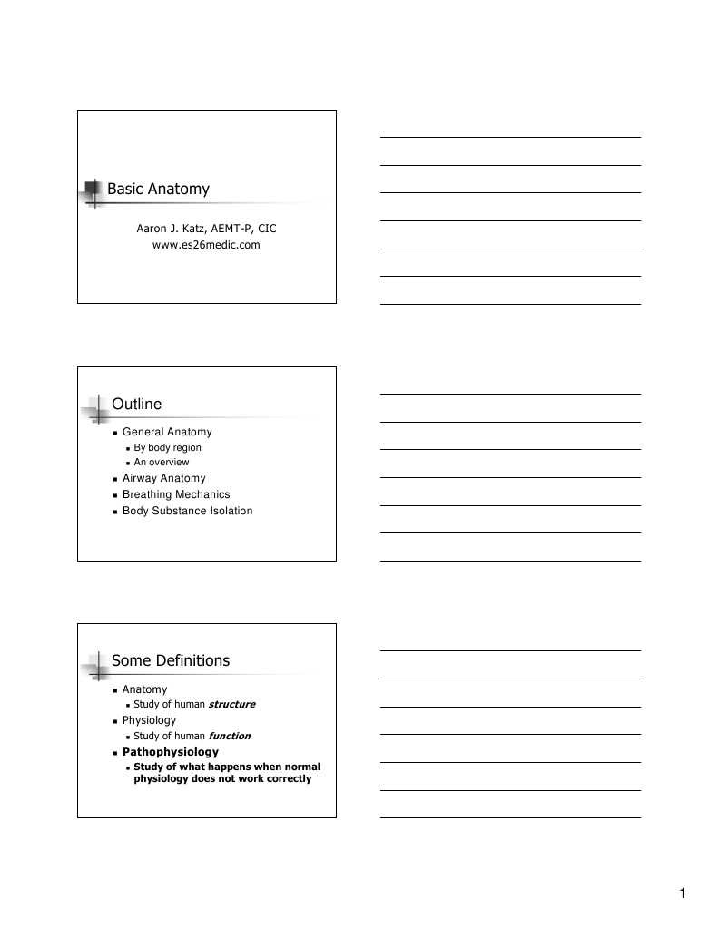 Basic Anatomy | PDF | Anatomical Terms Of Location | Respiratory Tract