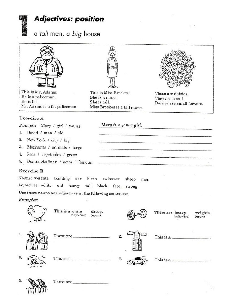 40 English Grammar Exercises | PDF | Language Arts & Discipline ...