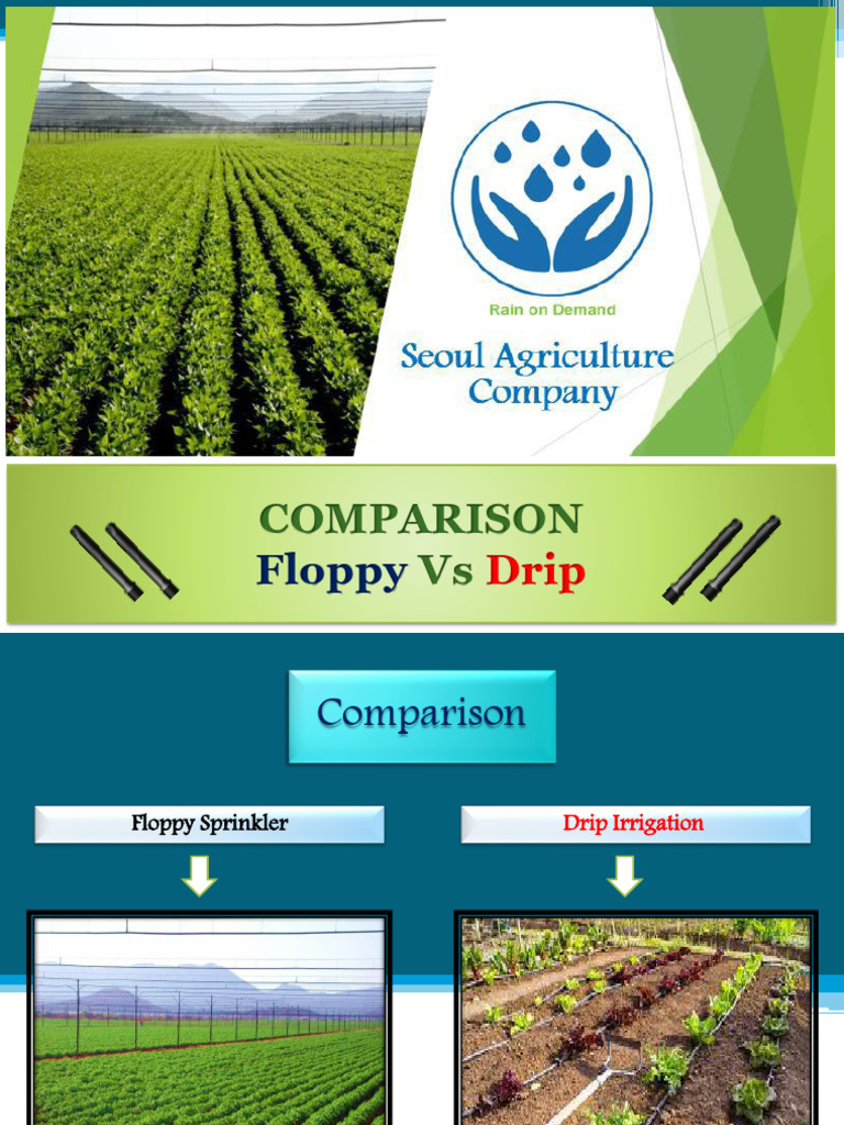Comparison Floppy Drip | PDF | Irrigation | Water