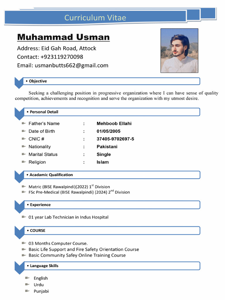 Usman CV | PDF