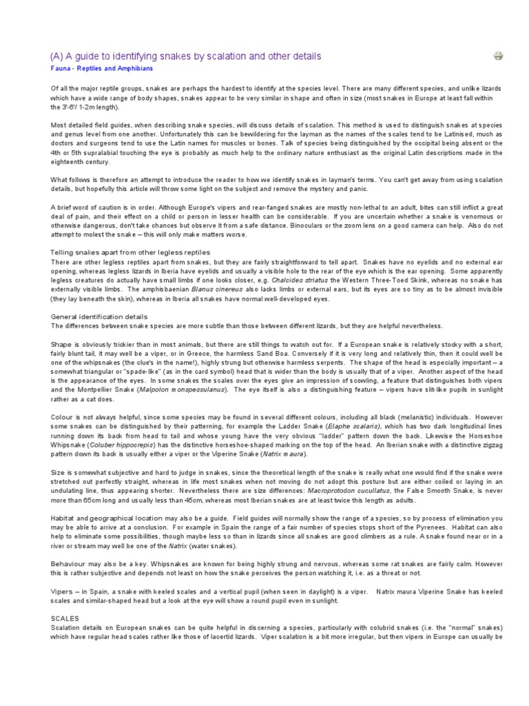 A Guide To Identifying Snakes by Scalation and Other Details | PDF ...