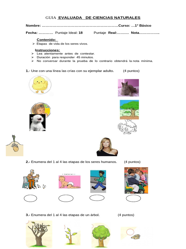 Guia de Ciencias Los Seres Vivos | PDF