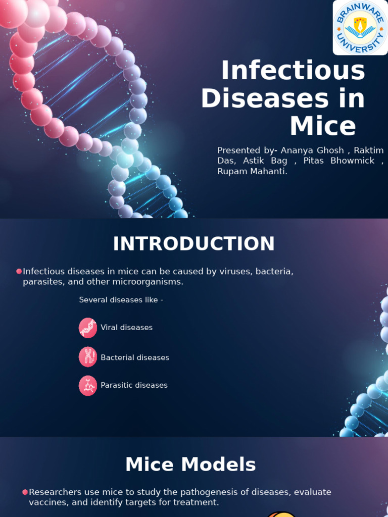 Mice Models for Infectious Diseases Study | PDF | Virus | Infection