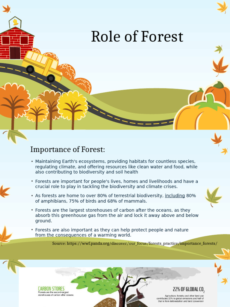L 2 Role of Forests | PDF | Forests | Biodiversity
