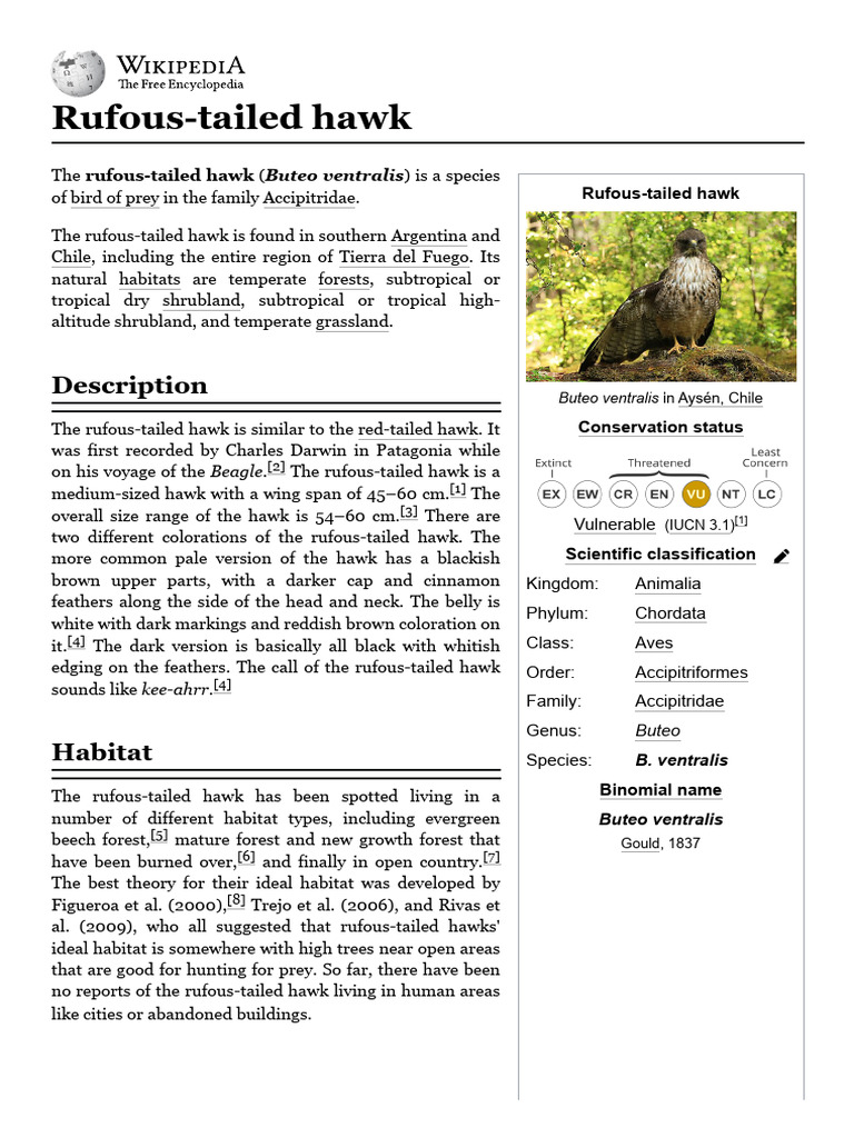 Rufous-Tailed Hawk - Wikipedia | PDF | Birds | Ornithology