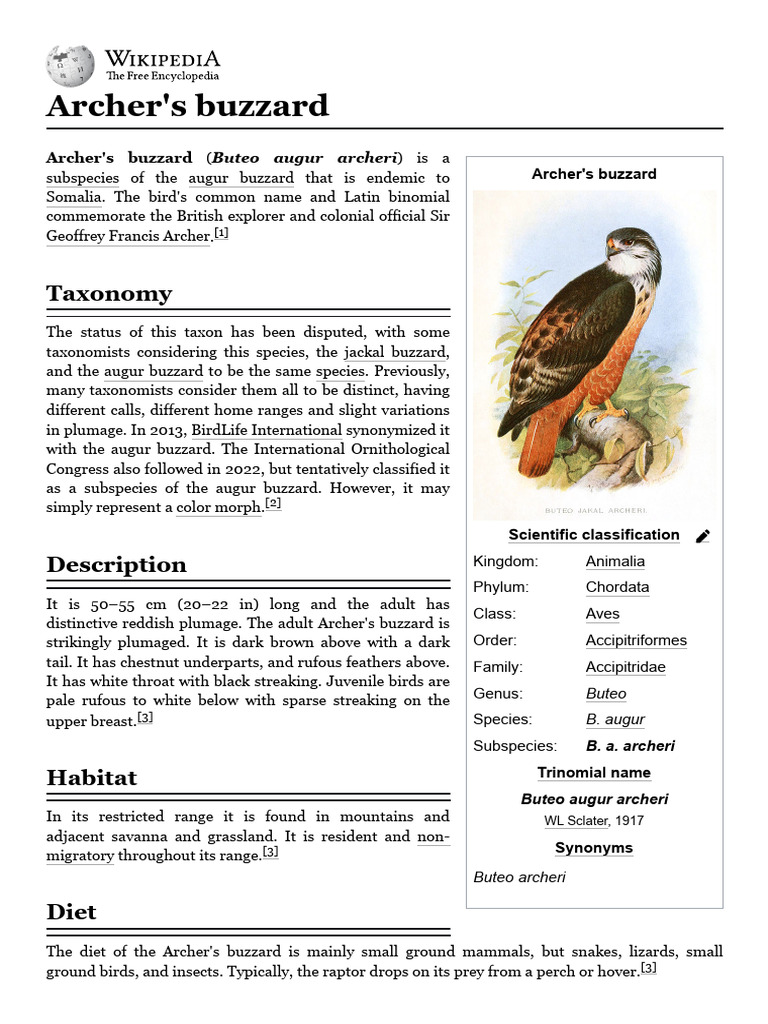 Archer's Buzzard - Wikipedia | PDF | Holarctic Birds | Ornithology