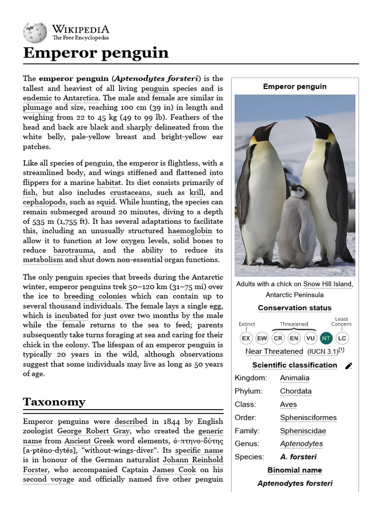 Emperor Penguin - Wikipedia | PDF | Zoology | Birds