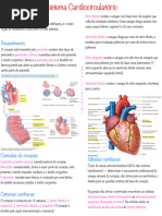 ECG - Eixo Eletrico Cardiaco 01 | PDF | Eletrocardiografia | Coração