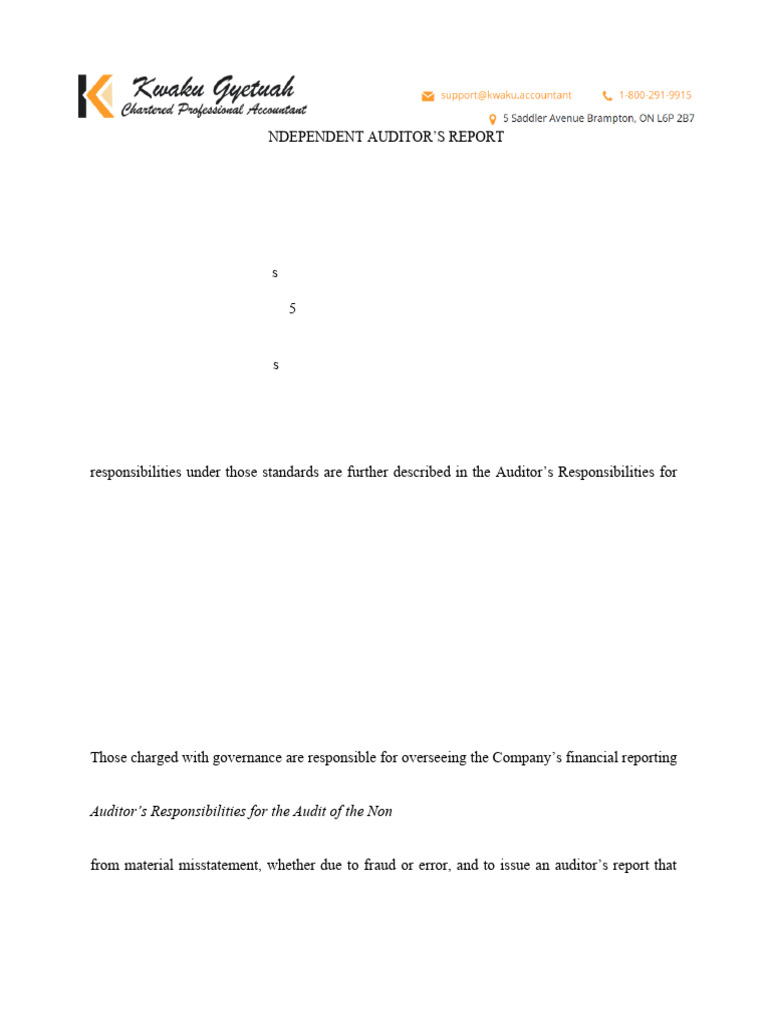 Independent Auditor's Report2 2025 - Revenue by Funding | PDF | Audit ...