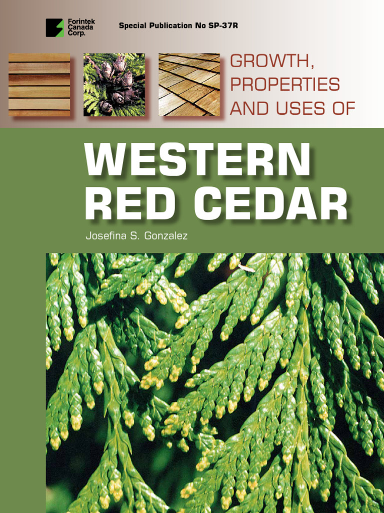 Western Red Cedar: Properties Overview | PDF | Wood | Trees