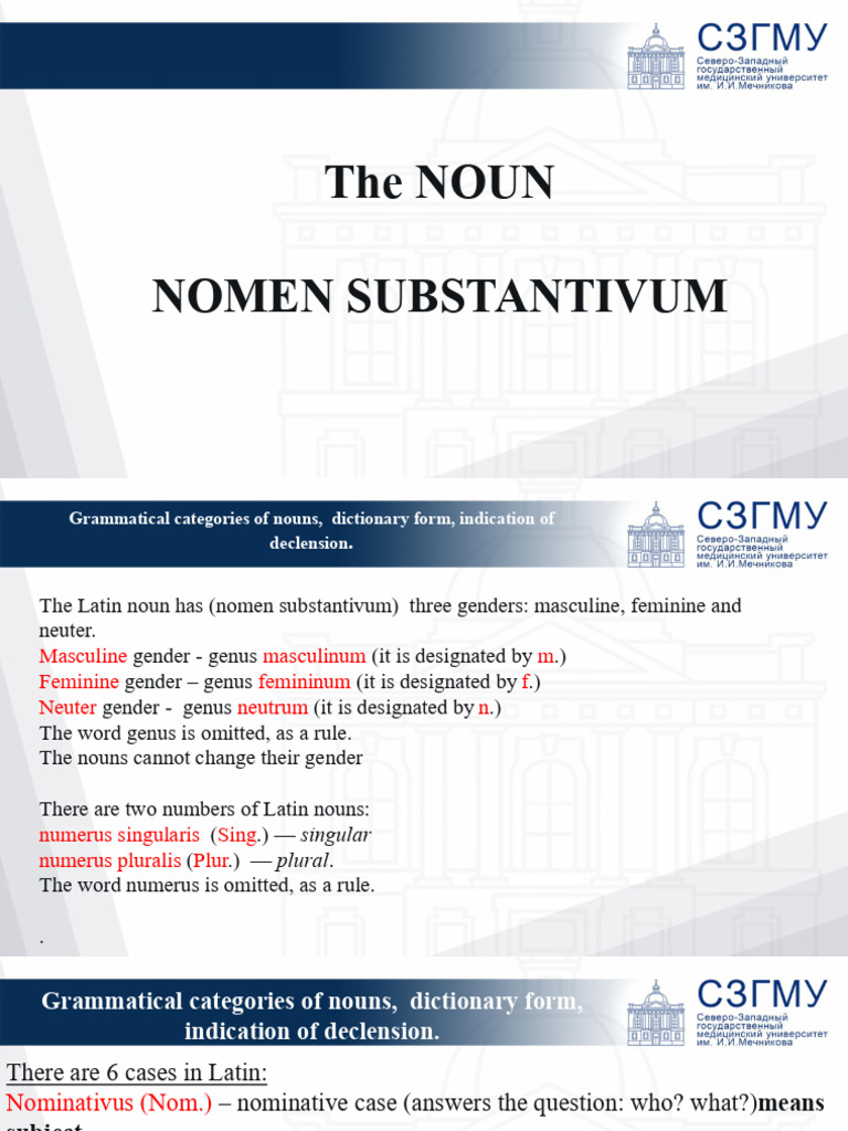 Latin Noun Genders and Declensions Guide | PDF | Grammatical Gender ...