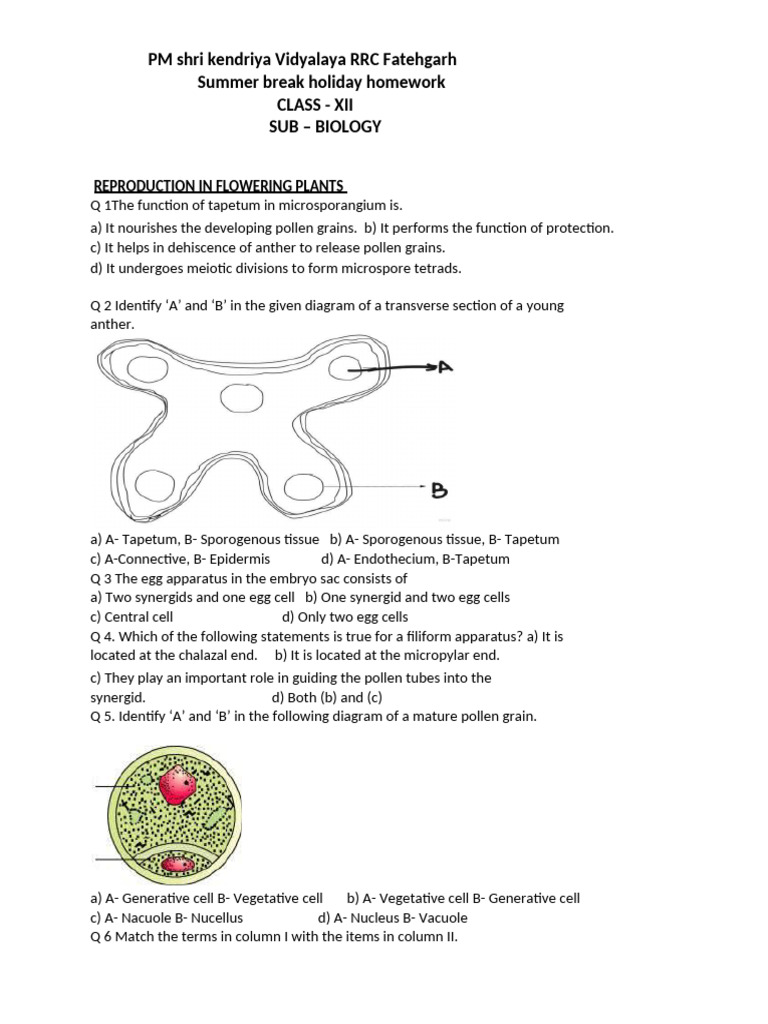 XII Biology Summer Break Holiday Homework | PDF | Menstrual Cycle | Biological Processes